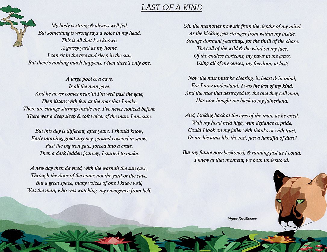 Come into my World of Poetry.......