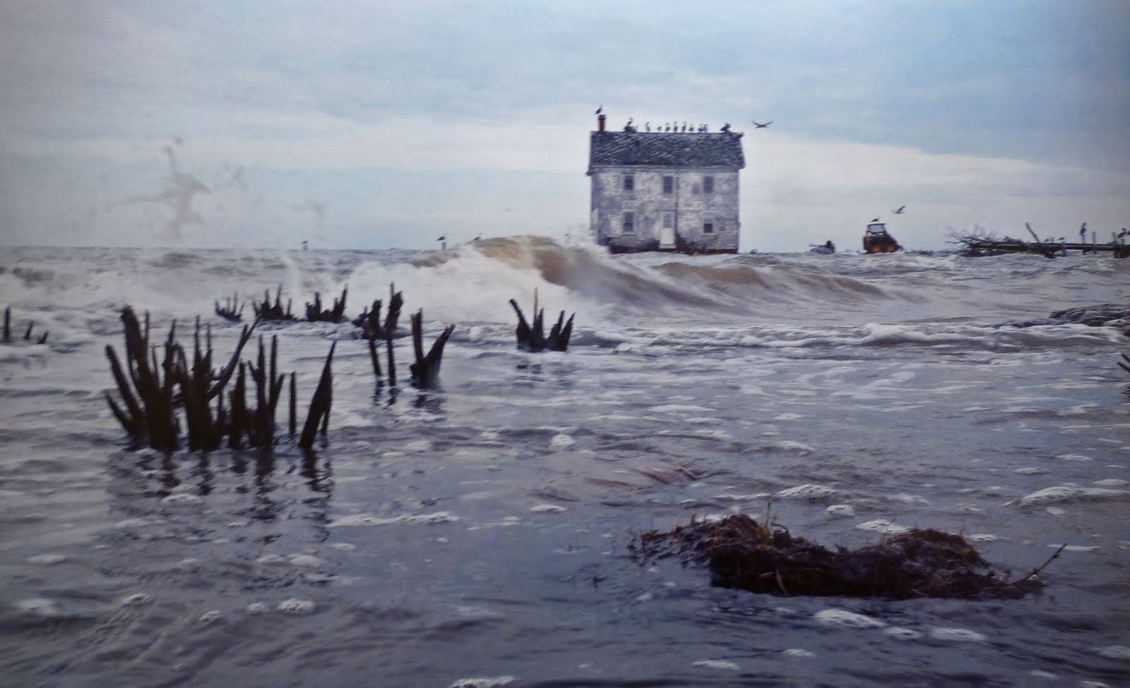 Deserted Places: Holland Island in the Chesapeake Bay