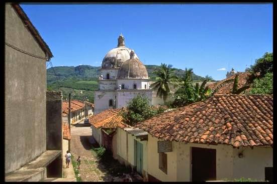 Brassavola Digbyana: Departamento de Choluteca