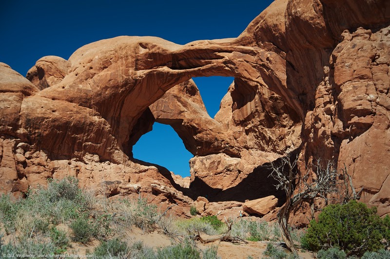 DJ's Journal: Arch Back, Now Arch Forward Sept 15-20