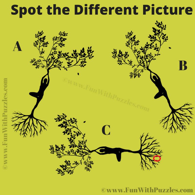 Yoga-Themed Odd One Out Picture Puzzle for Mental Exercise