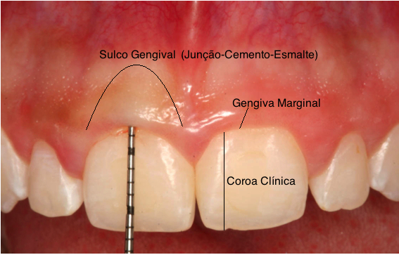 Clínica Plenna Cirurgia Plástica - Florianópolis