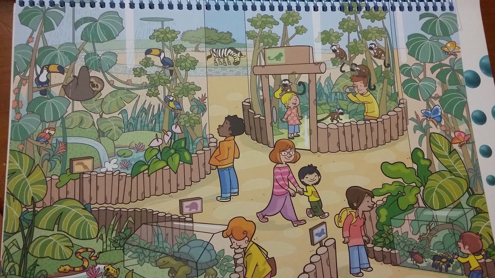 Y AHORA QUÉ?: UNIDAD 4 : LOS ANIMALES Y LAS PLANTAS