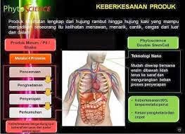 RUBY PYNOCARE WHITE: PHYTOSCIENCE DOUBLE STEMCELL