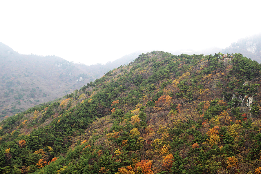 Fall Mountain View Of Korea - Foliage Landscape Of Mt. Palgong In Daegu