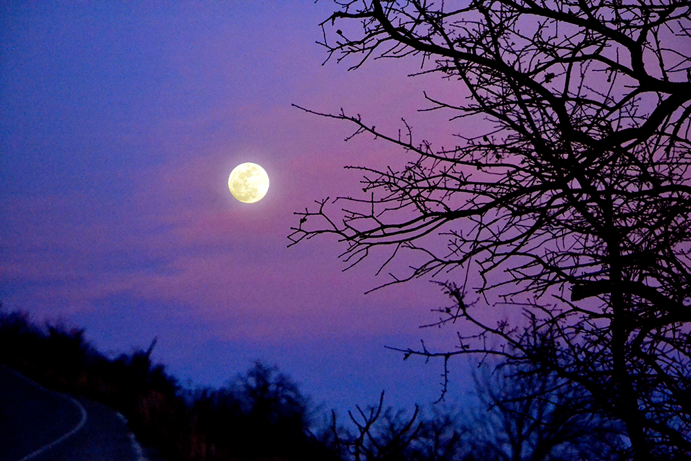 Freedom_to roam_roadtrip. : Sunset on Mount Scott: A Scramble in Fading ...
