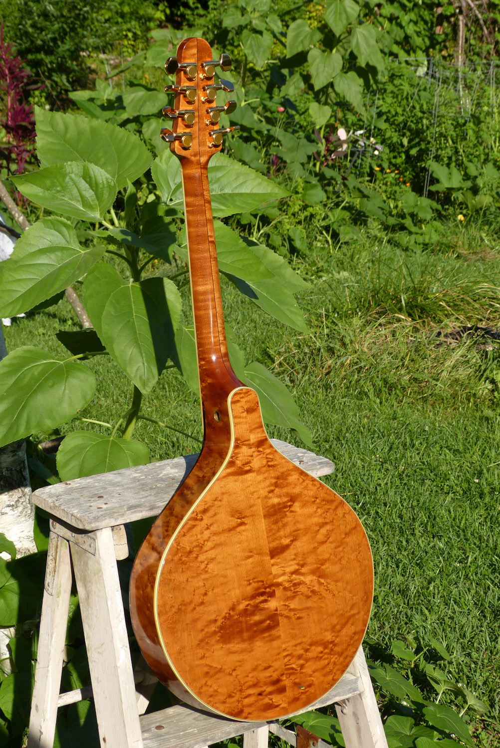 2000 Trillium Octave Mandolin