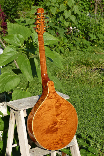2000 Trillium Octave Mandolin