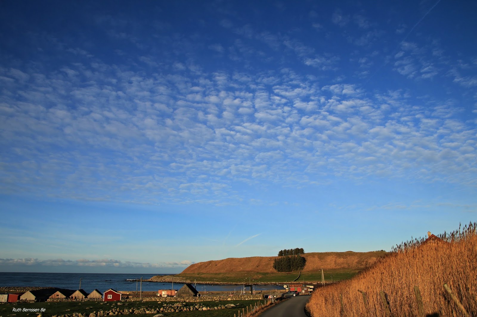 solsikken: Obrestad havn i morgonsol