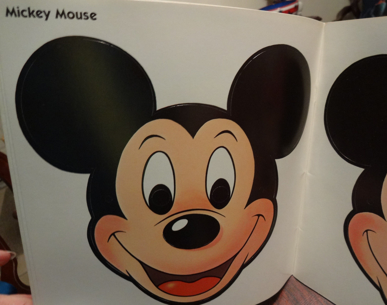 Mickey Mouse Cartoon 1985