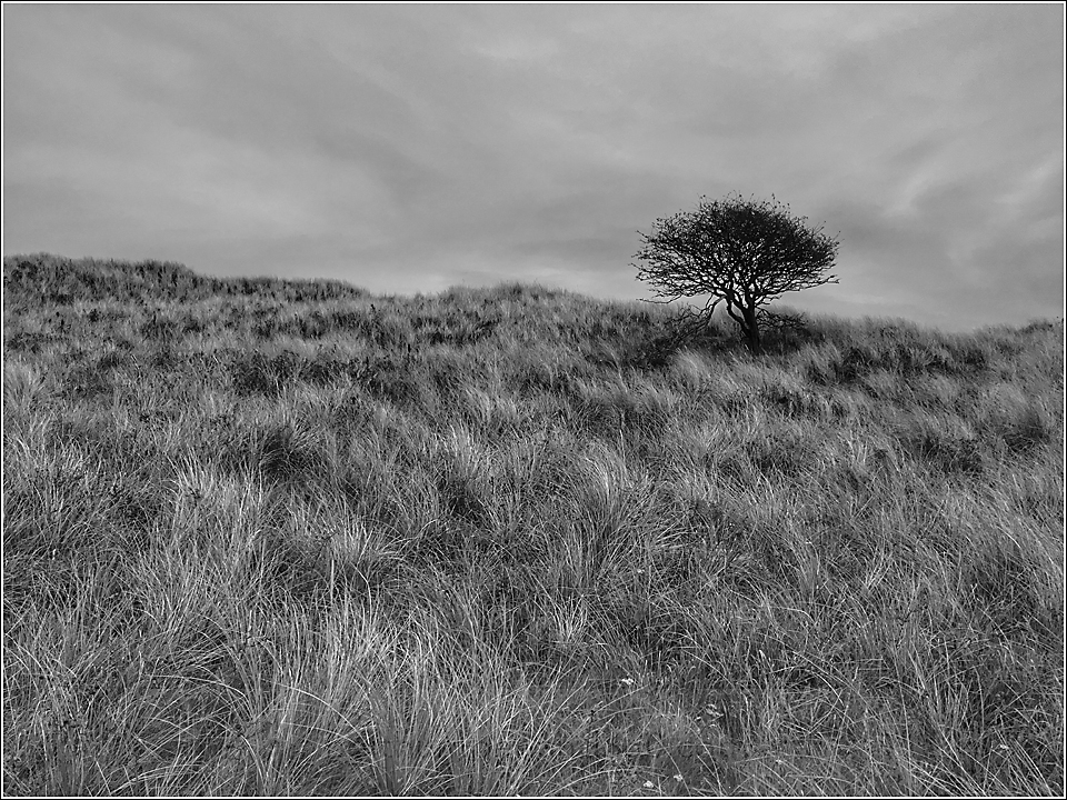 Northumberland360 Bleak Is Beautiful northumberland360-bleak-is-beautiful