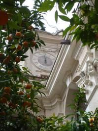 50 Years In Italy: Garden of Bitter Oranges