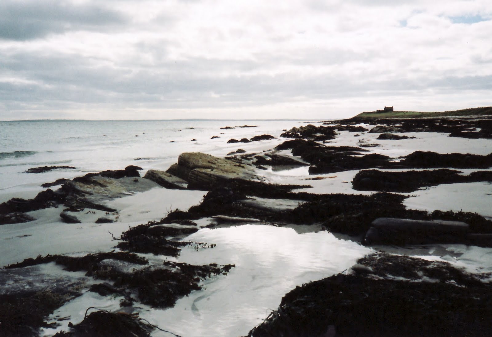 A lifetime of Islands: Island 111 - Egilsay, Orkney