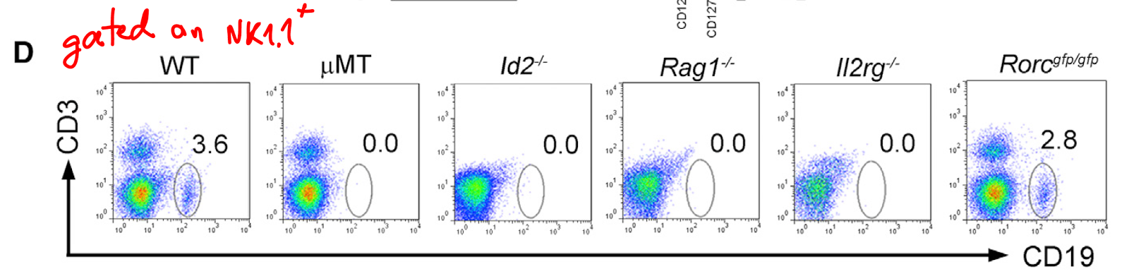 Hybrid NKB cells are source of early IL-18 | NIHilist's Immunology