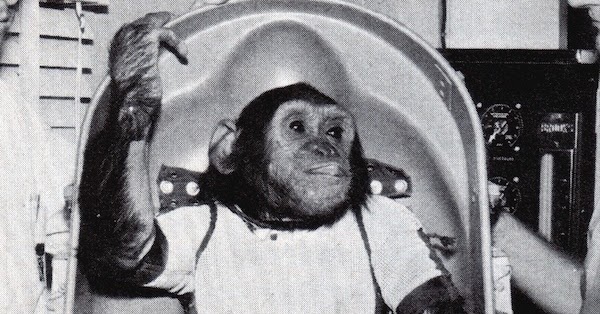 Book Junkie: Enos the Chimp launched in Mercury-Atlas 5, 1961