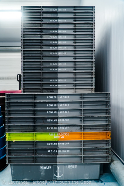 Through the Gaps! - Newlyn Fishing News: 01/02/19 - 01/03/19 Cornwall ...