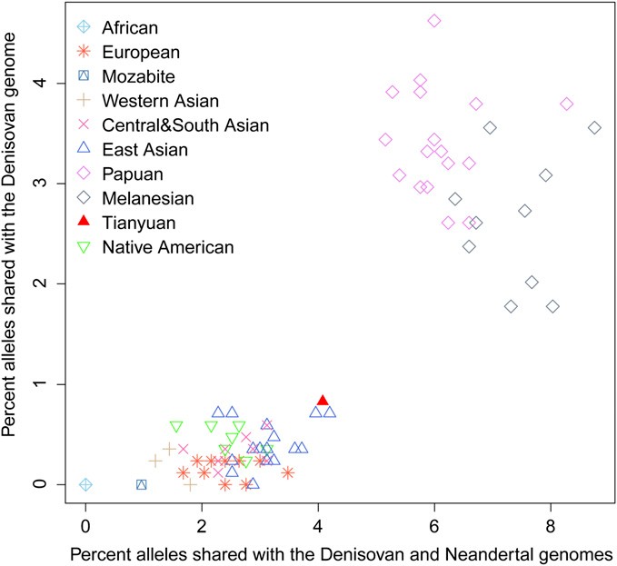 Dienekes’ Anthropology Blog: Ancient DNA from Tianyuan Cave