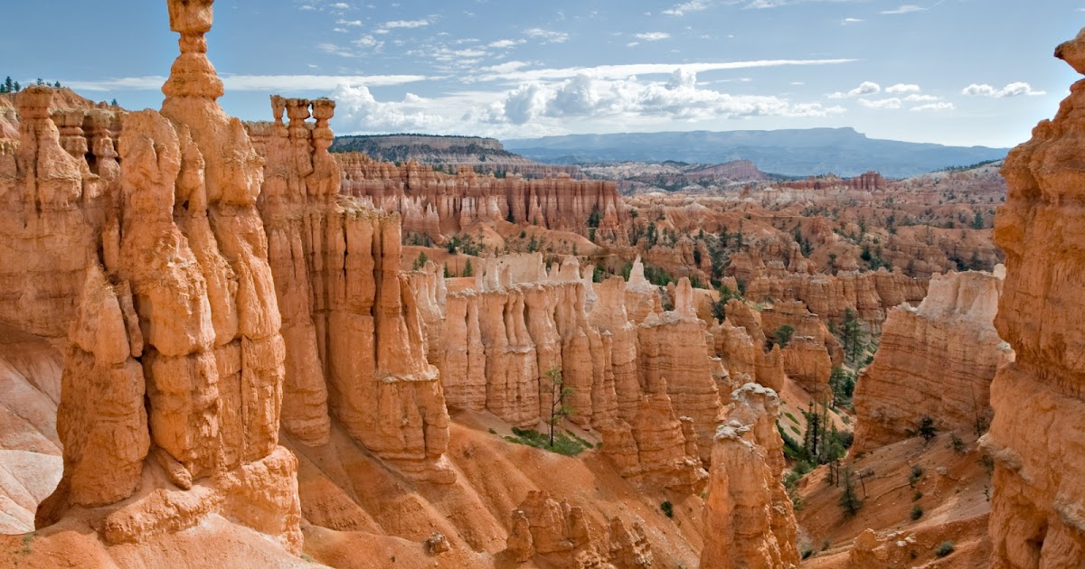 El Gran Cañon Colorado wall