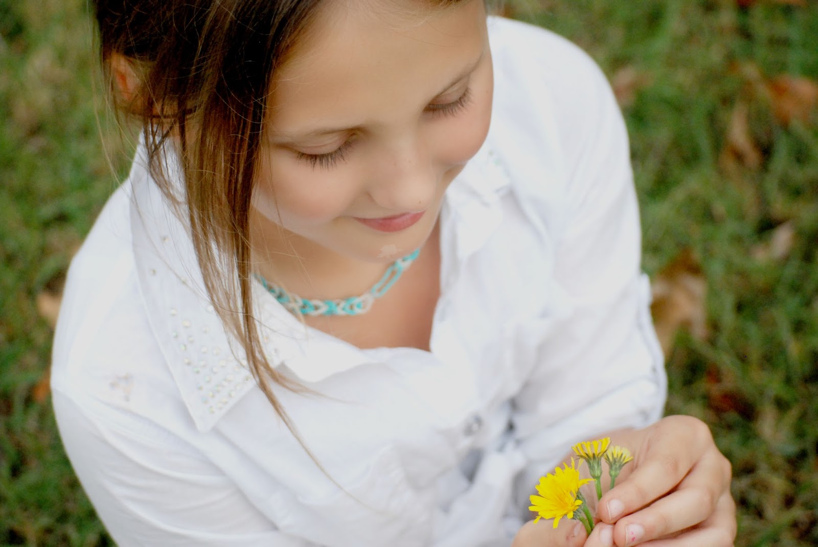 Getting Started: Embrace a Spirit of Inquiry — Paideia Academics