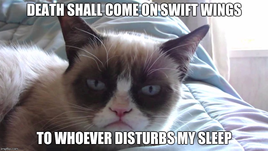 Good Night Grumpy Cat