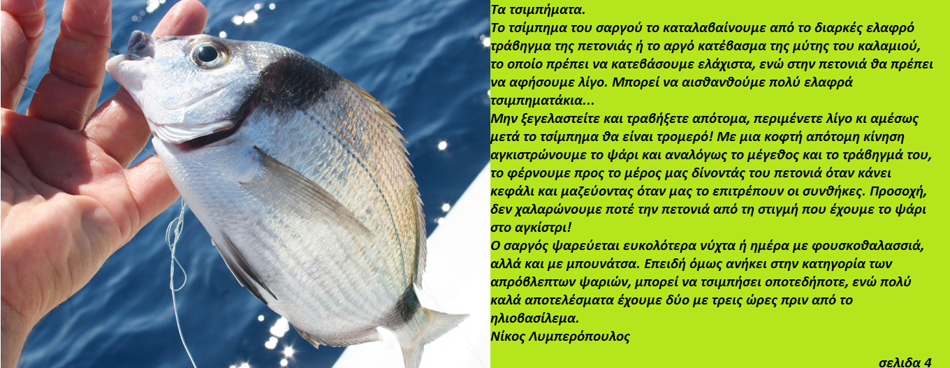 FISHING GUIDE BY HELLAS: καραβιδακι στο αγκιστρι μας