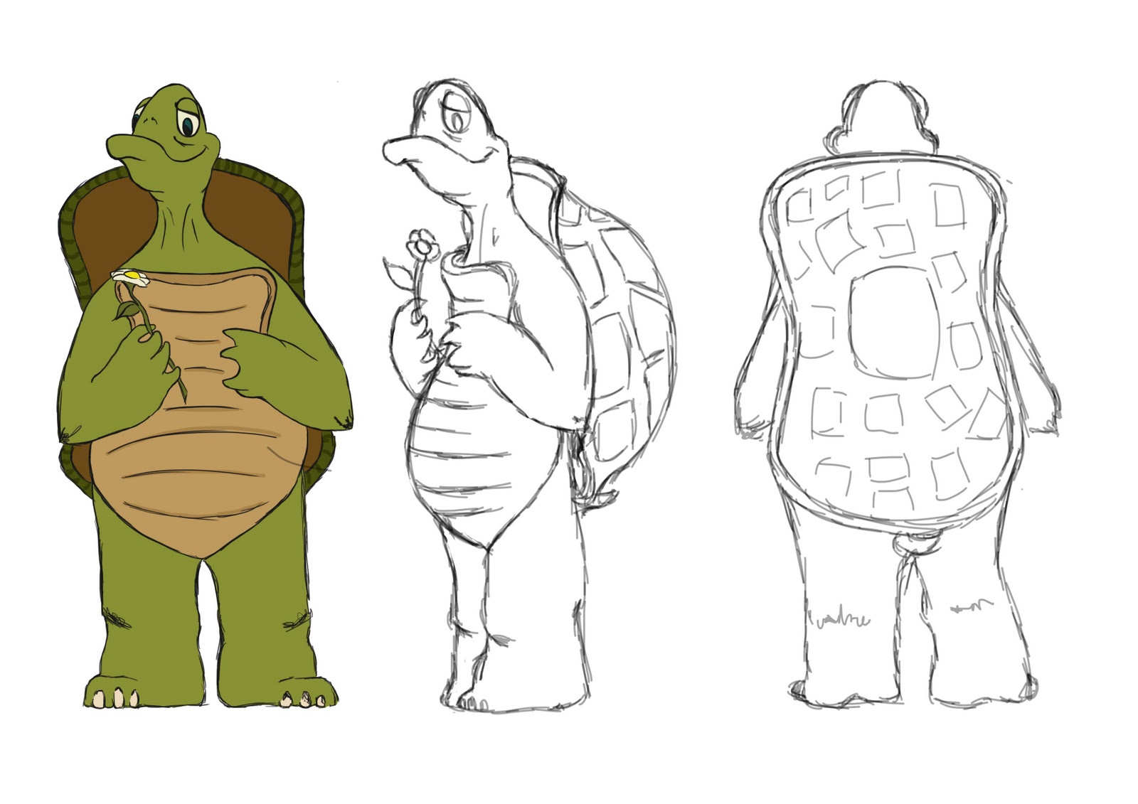 30 Second animation: Character Design: Turtle
