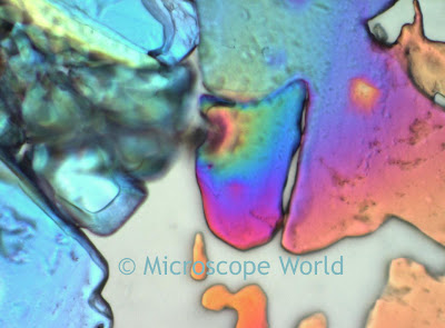 Microscope World Blog: Sugar under a Polarizing Microscope