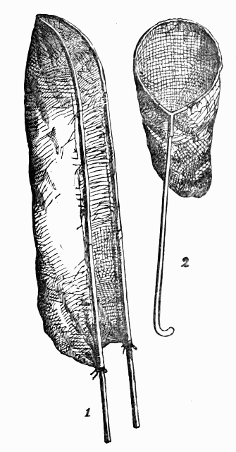 S.T.E.A.M. Empowered: Eleanor Glanville, Entomologist