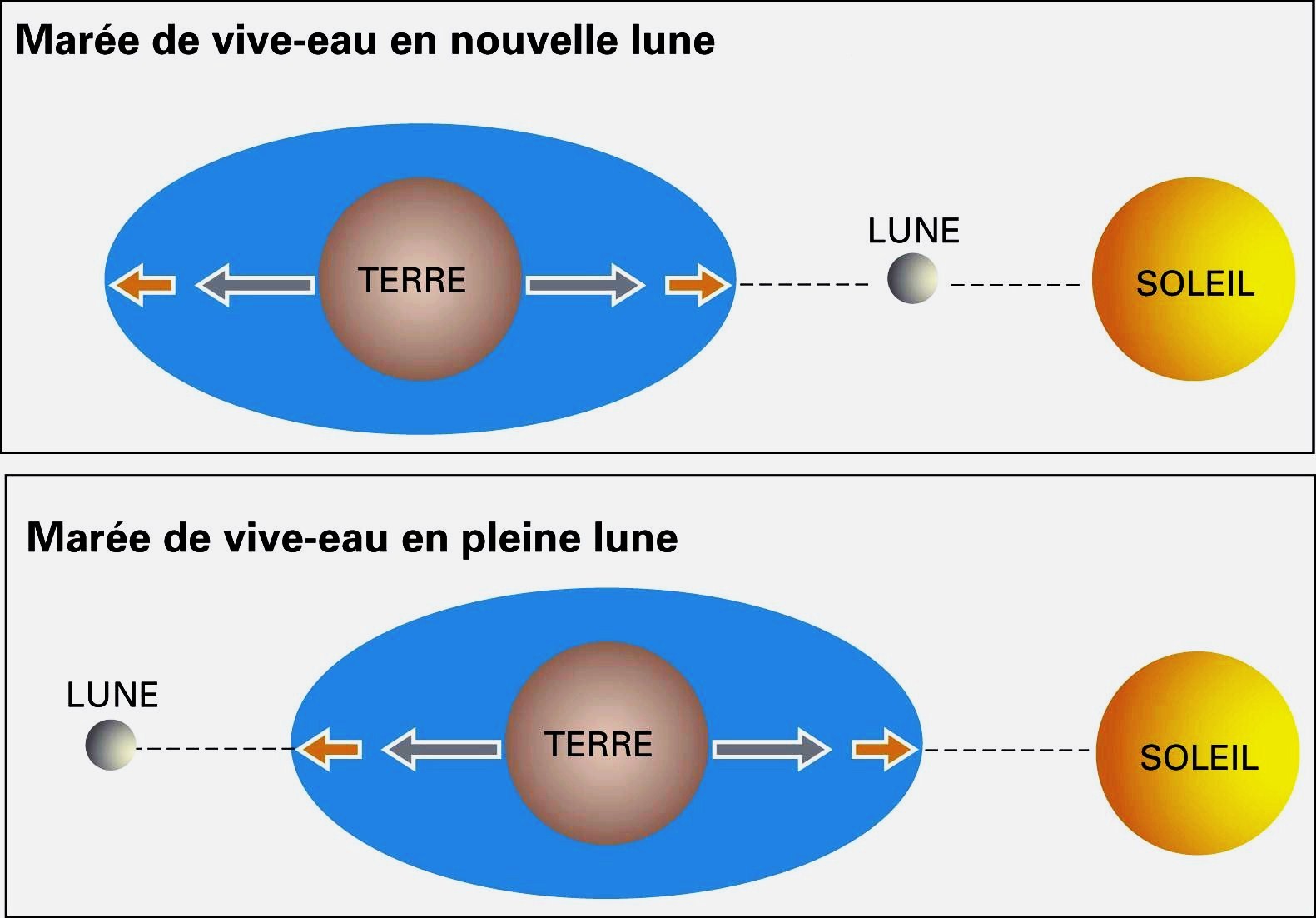 O LIVRO DE AREIA: Marés vivas do século: espera-se a maior em Março ...