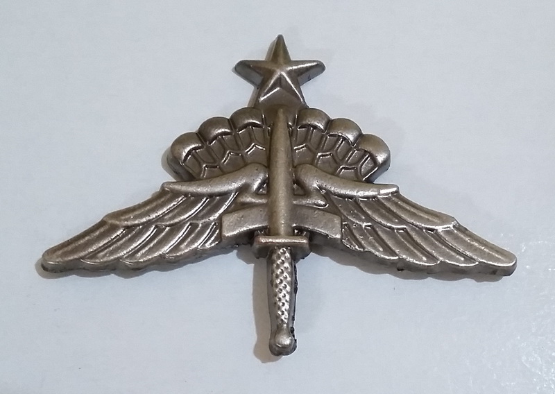 Armia Shop - Diecast & Militaria: Emblem US Freefall Parachutist Badge