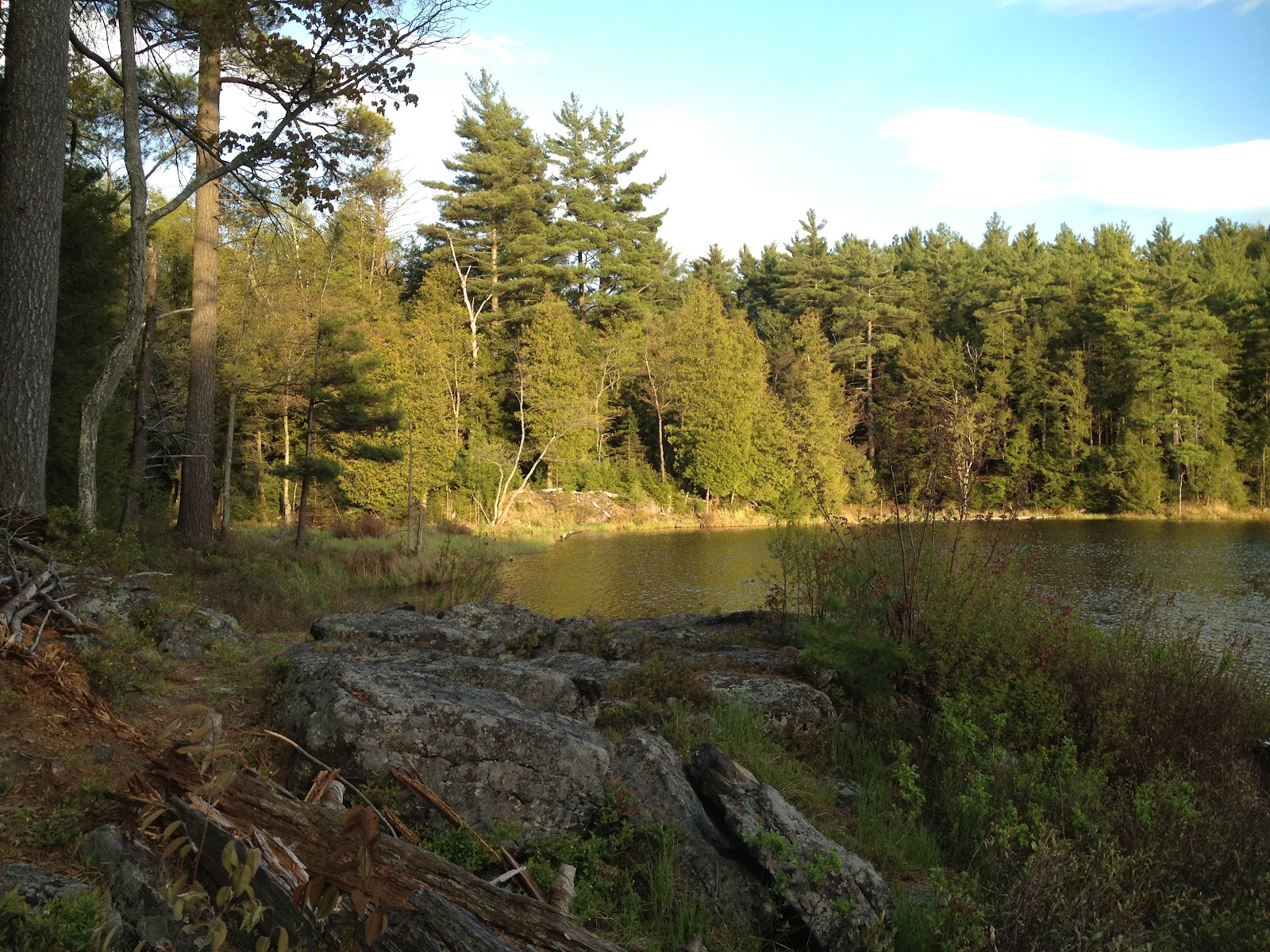 Roaming Rover: Pharoah Lake Wilderness - Putnam Pond Loop