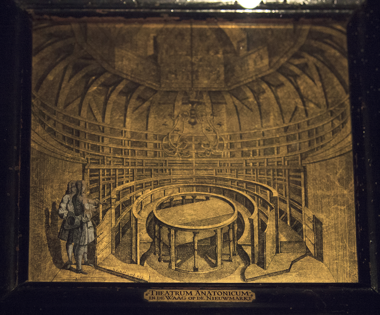 Morbid Anatomy: Public Dissections, Frederik Ruysch and the Theatrum ...