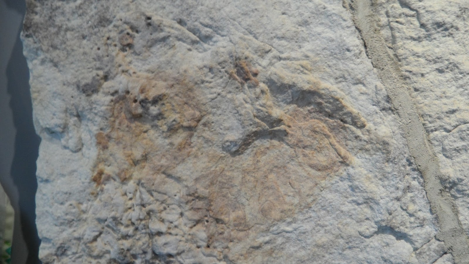 Fossils and Geology of Lanark County, Ontario: Frothed Sandstone and ...