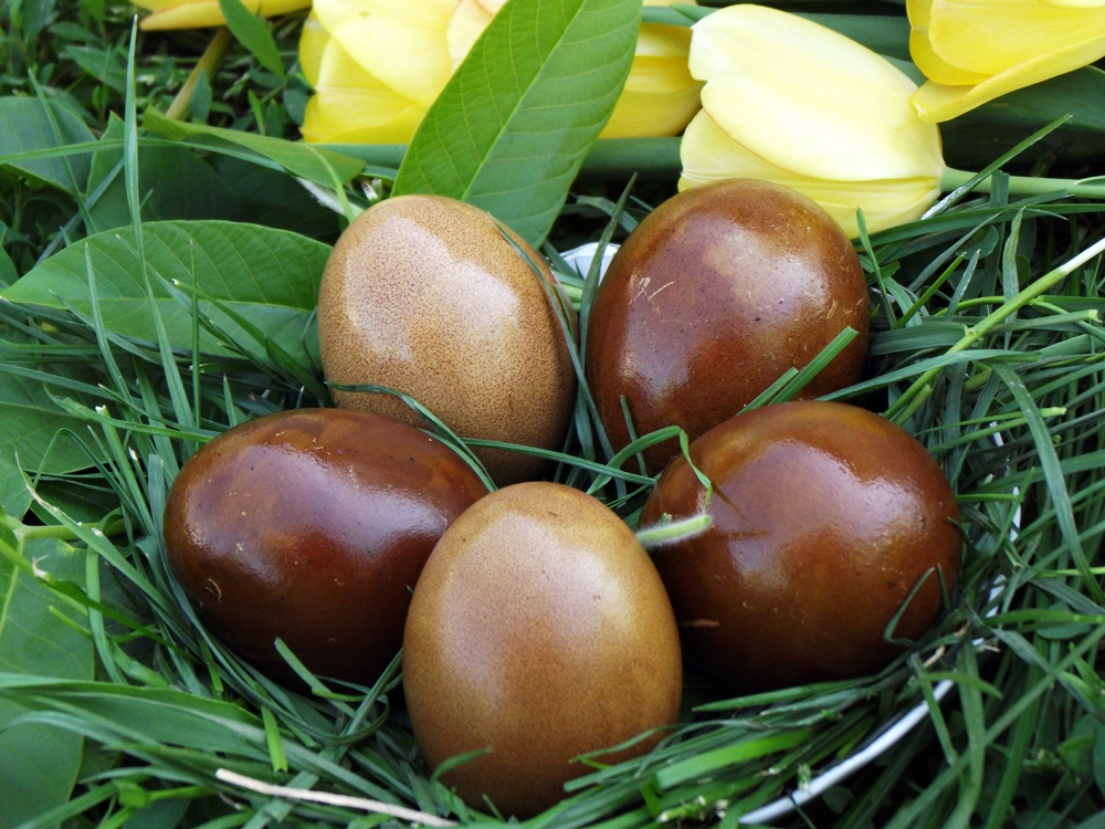 Cum vopsim ouale in mod natural? - CAIETUL CU RETETE