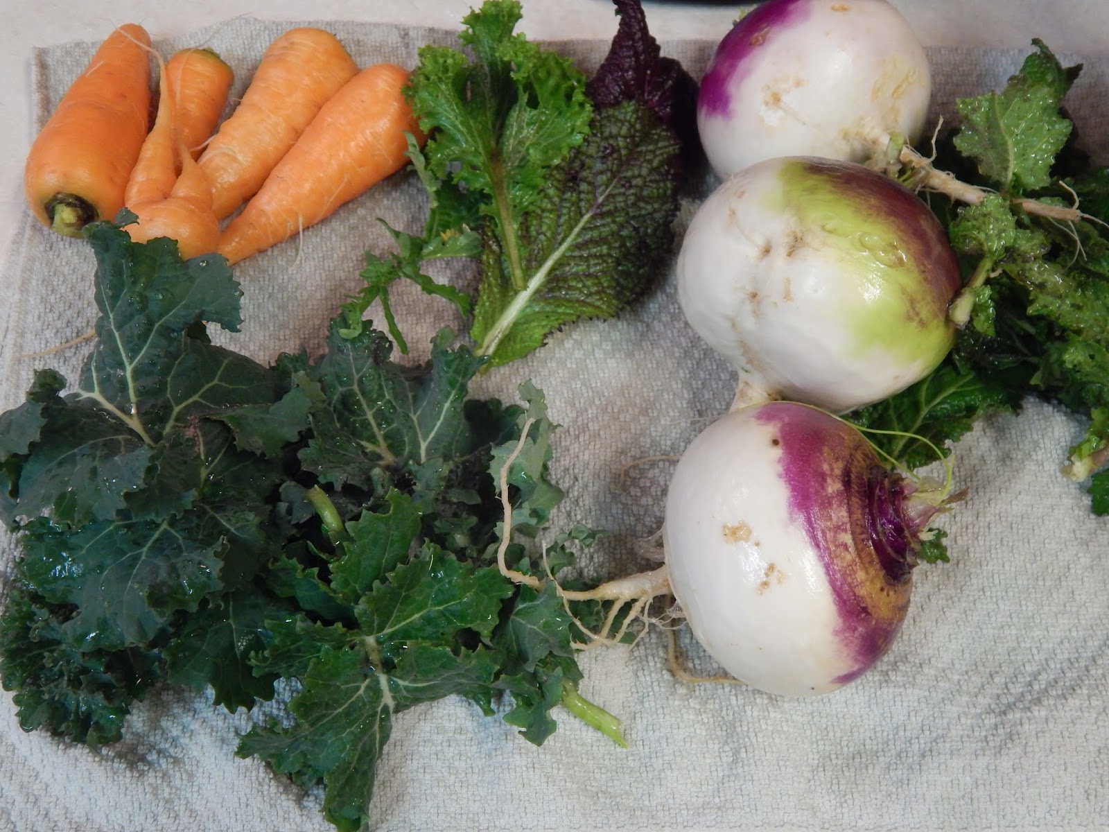 Thoughts from Frank and Fern: Foraging in the Garden for Vegetable Soup