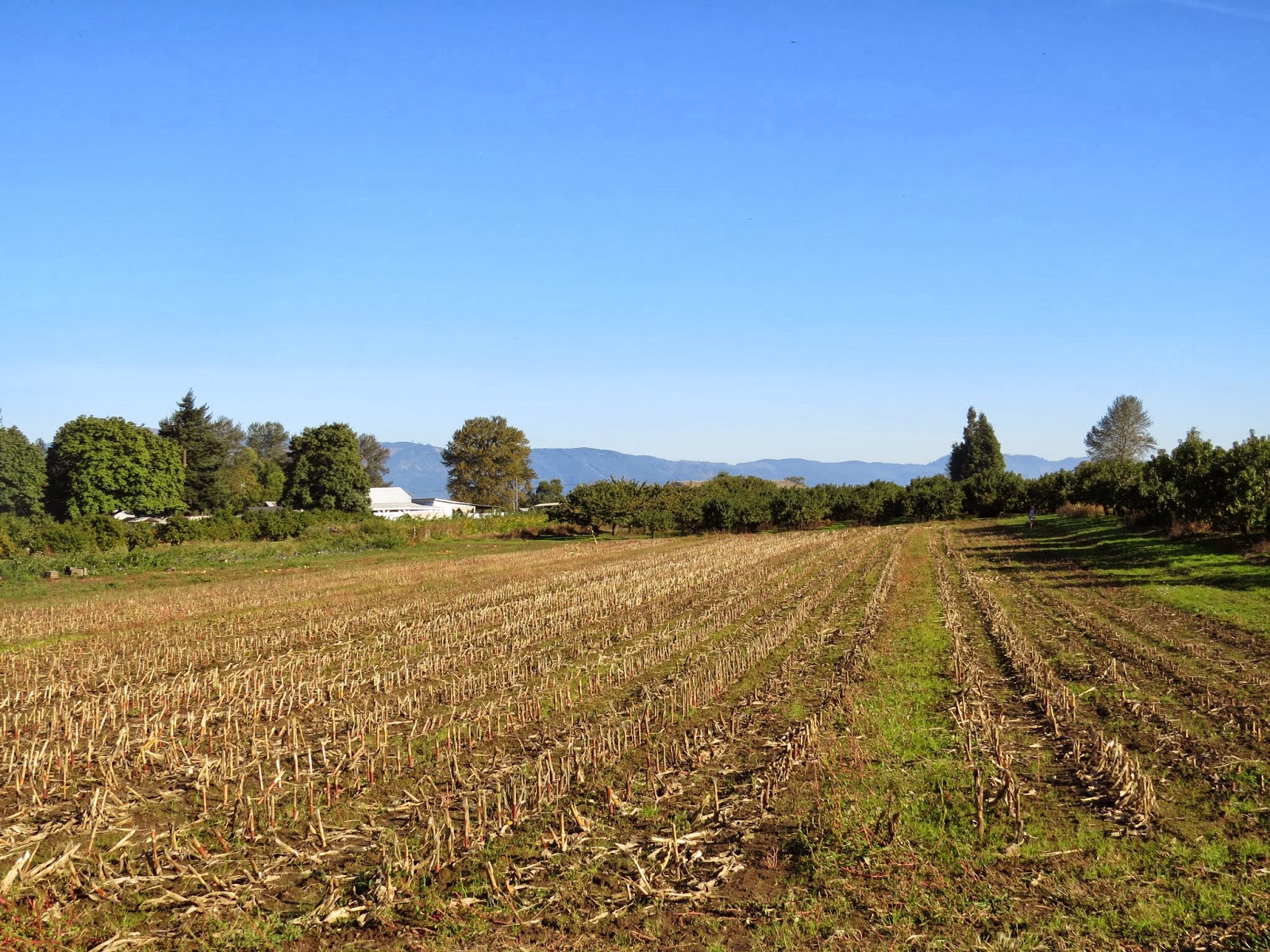 Photos by Jan: A Trip to Detering Orchards; in Harrisburg, Oregon