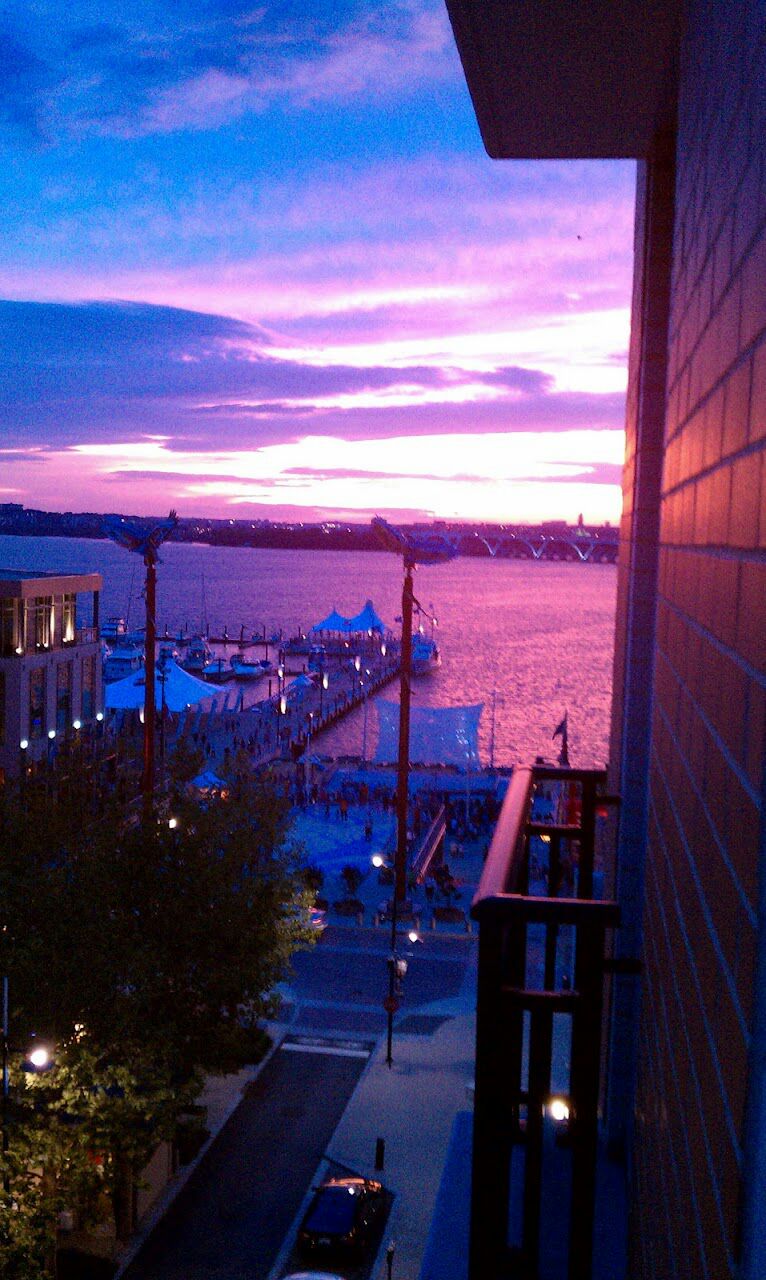 Harbor Love: @ the Harbor