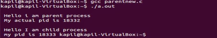 DU CS Lectures: A PROGRAM (using fork() and/or exec() commands) where parent and child execute:
