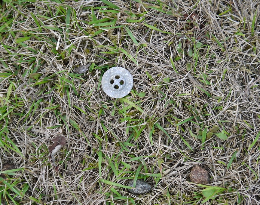 WW1 and WW2 Defences - Suffolk and beyond: WW1 Training Trenches - Beccles