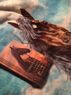 aMazing Grace: "UNBRIDLED FAITH: 100 Devotions from the Horse Farm" by ...