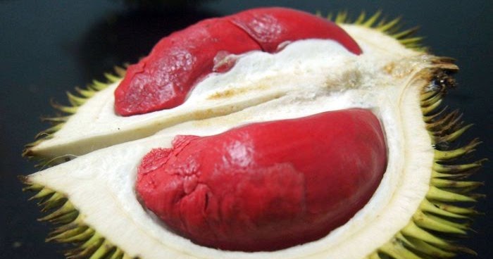 Teguh: KEISTIMEWAAN KHASIAT DURIAN ISI MERAH
