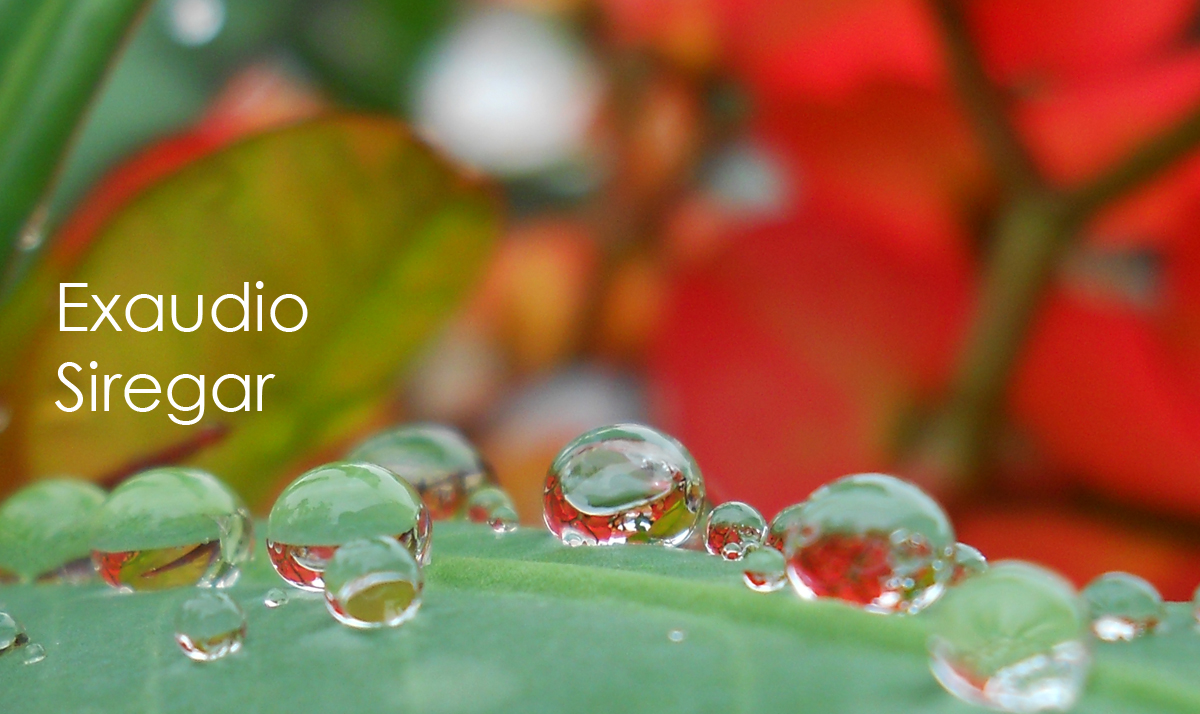 Bulir Air Sehabis Hujan