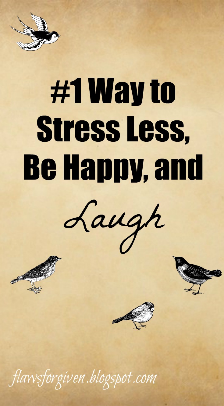 Flaws, Forgiven: #1 Way to Stress Less, Be Happy, and Laugh