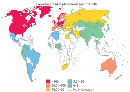 Run Carla Run Project: What Causes MS?