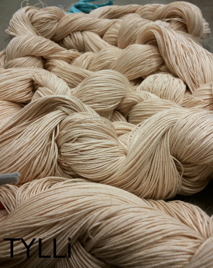 TYLLi: tammikuuta 2014