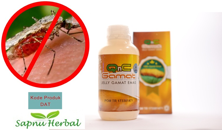 Obat Malaria Ampuh, Cara Menyembuhkan Penyakit Malaria Hingga Tuntas ...