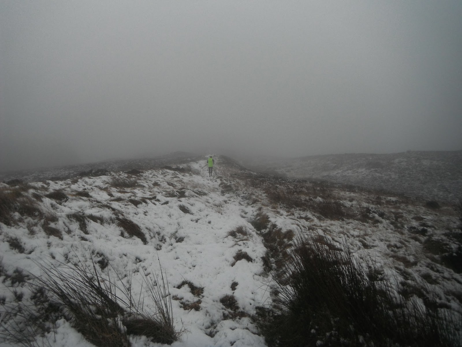 Stephs Blog: Pappert