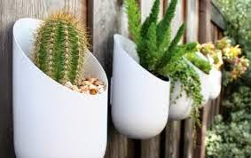 PLANTER WALL @ TANAMAN DINDING ~ Rumah Idaman