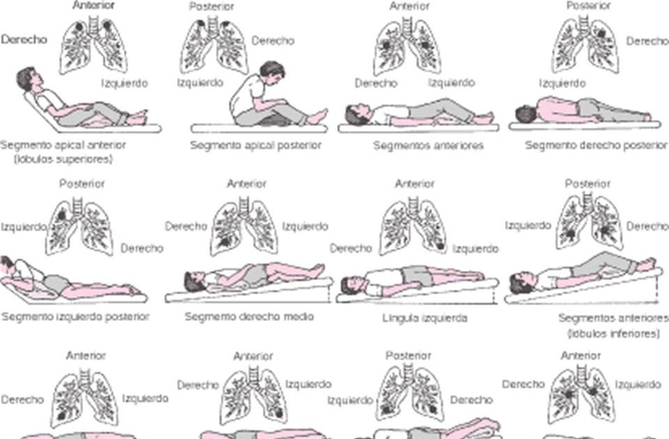 Corporativo Hospital Satélite: Fisioterapia de tórax
