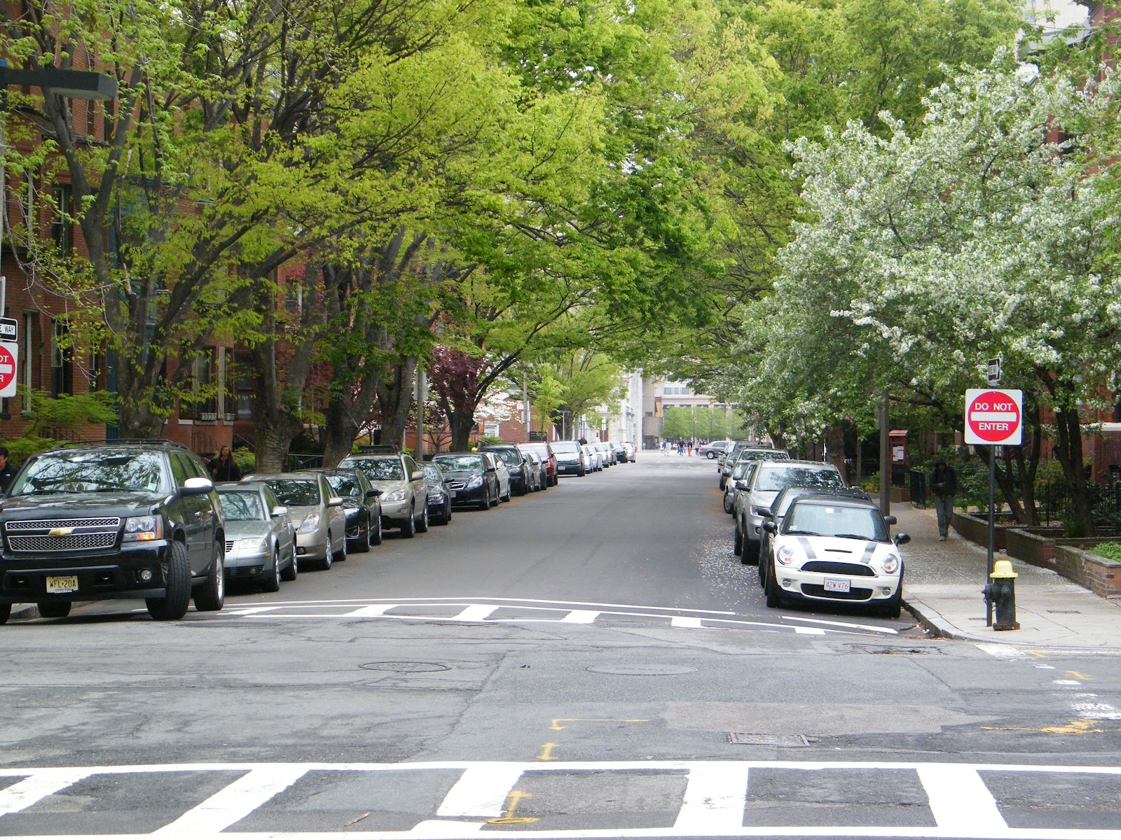 Calm Streets Boston: Traffic Calming without using Physical Measures